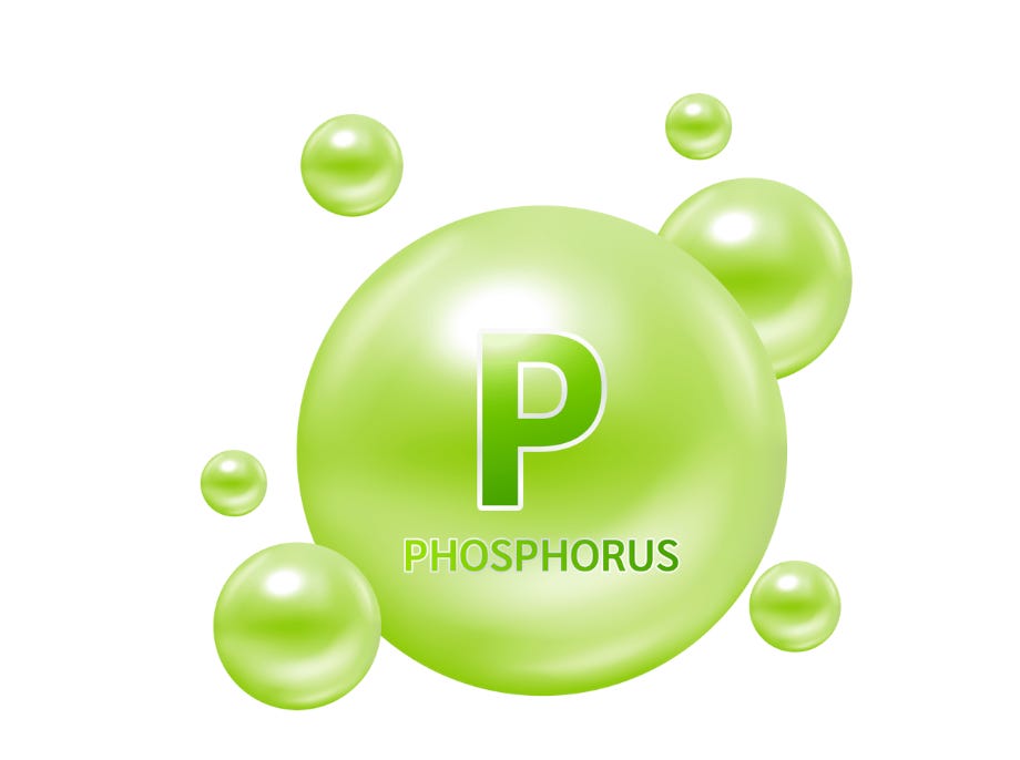 Consenso: diagnóstico y tratamiento de la enfermedad renal aguda en ...