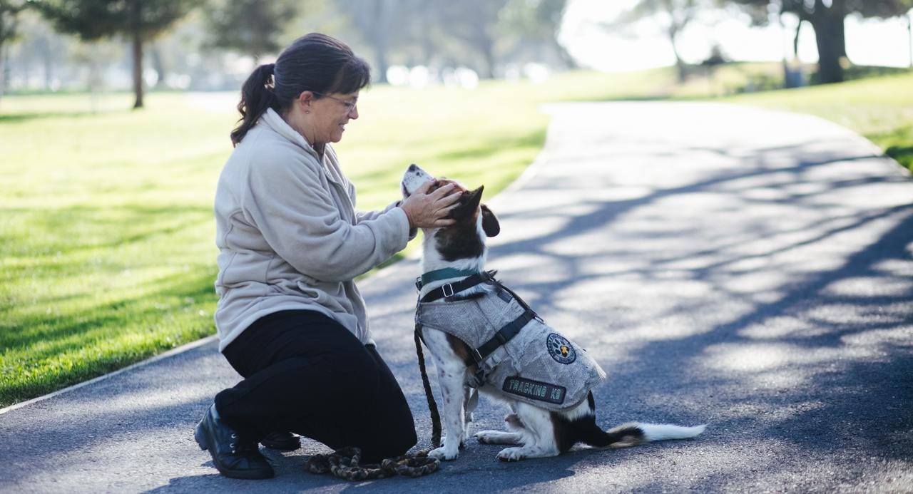 I Hired a Real-Life Pet Detective - by Daniela Blei