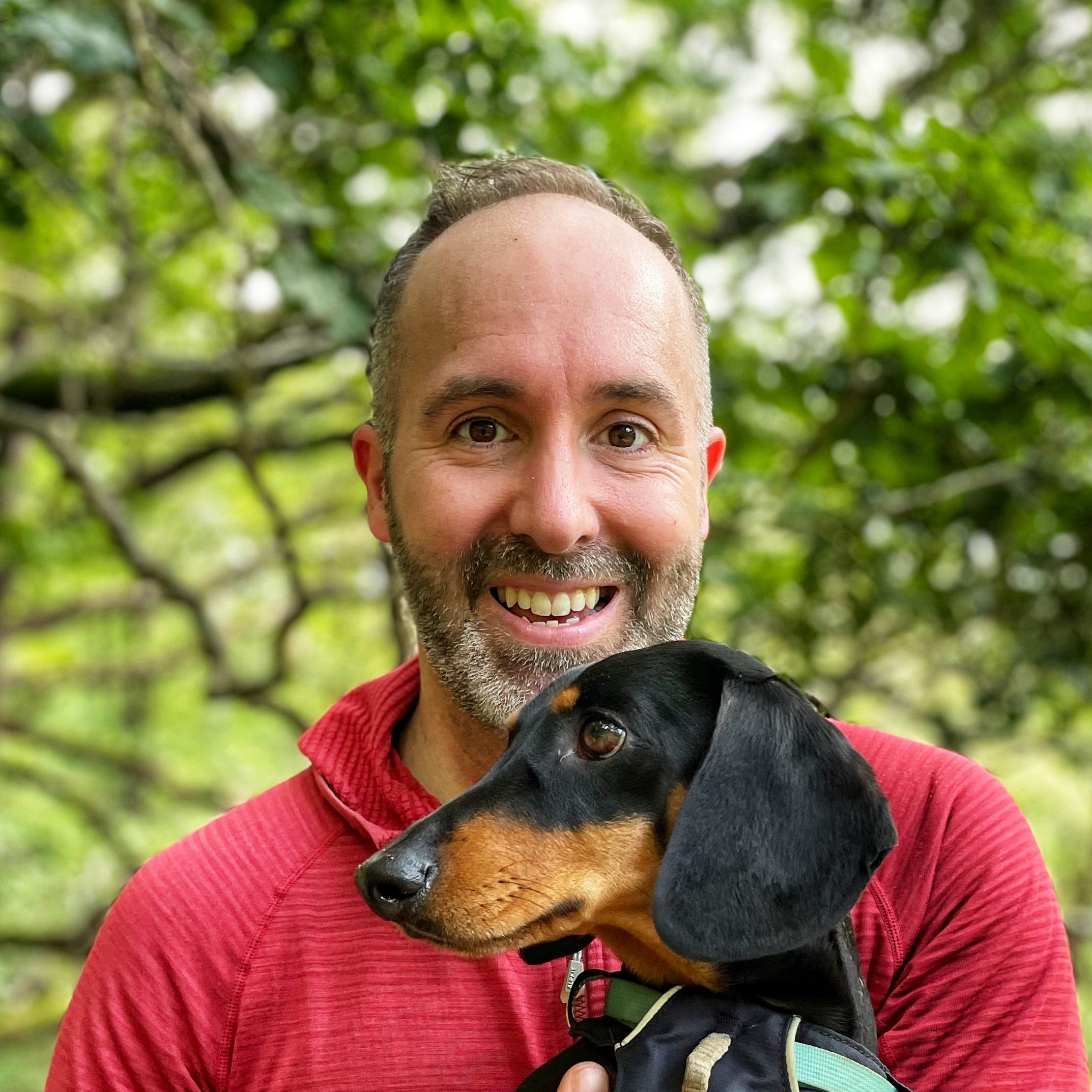 David Coleman | Substack