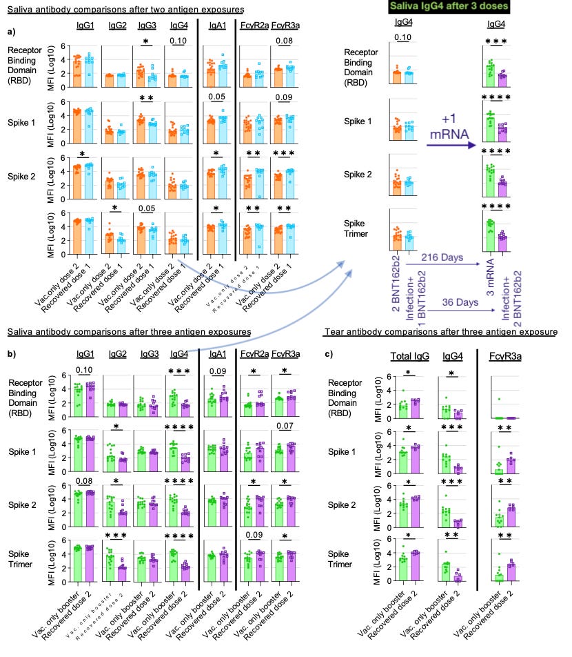 The third IgG4 / tolerance study, briefly - by Brian Mowrey