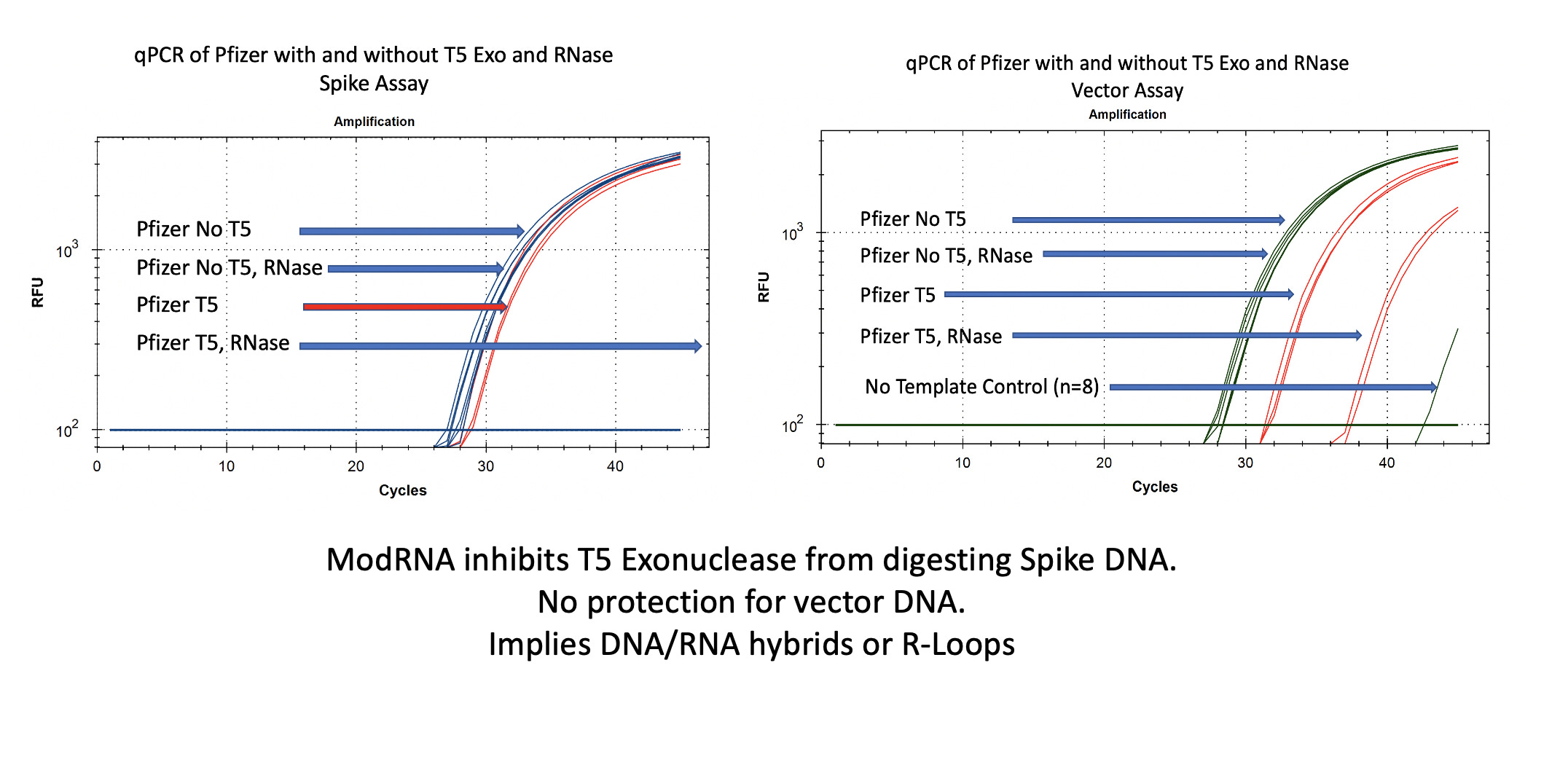 DNA-RNA hybrids, R-Loops and nuclease resistance of the mRNA vaccines