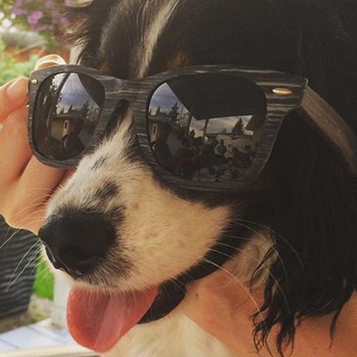 James Lambert | Substack