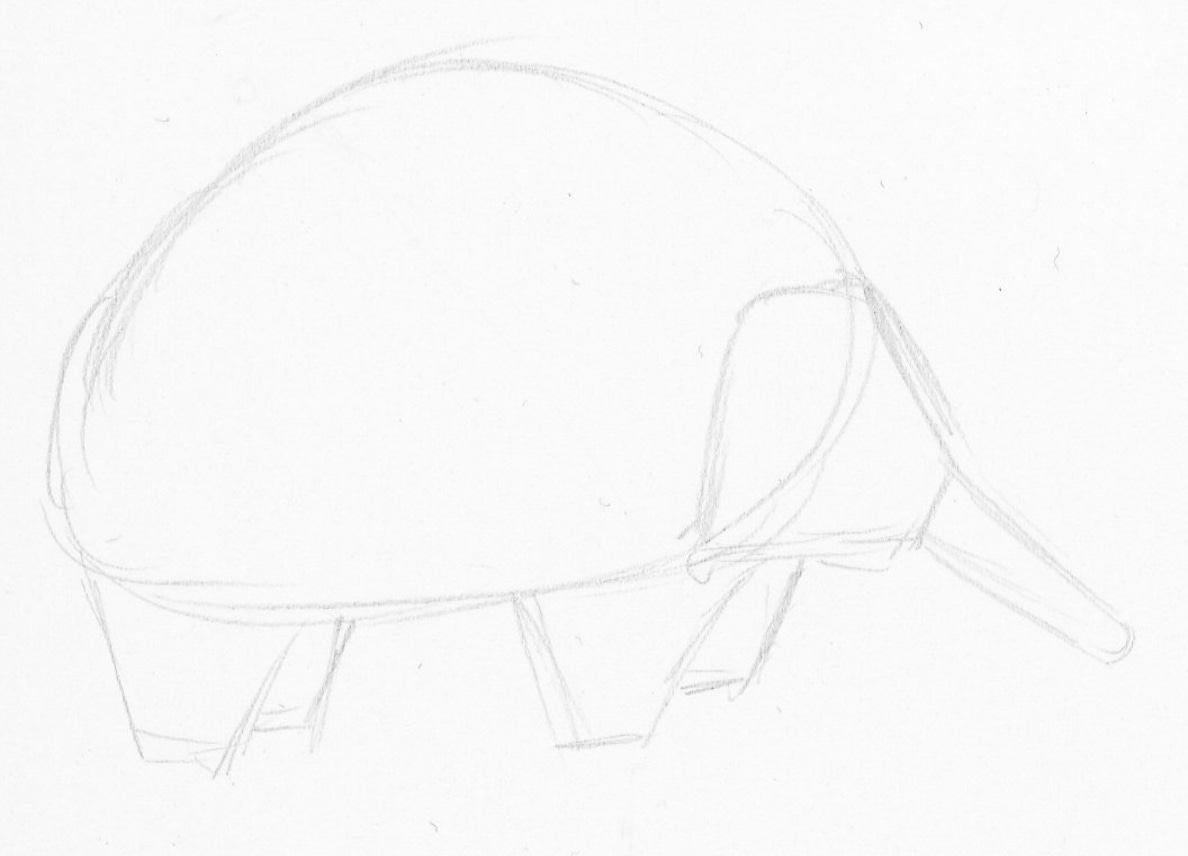 How to Draw - Echidna - by Zinia King - Zinia’s Substack