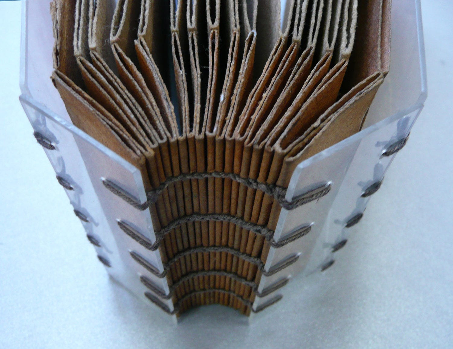 Through the Plexiglass: Transparent Books