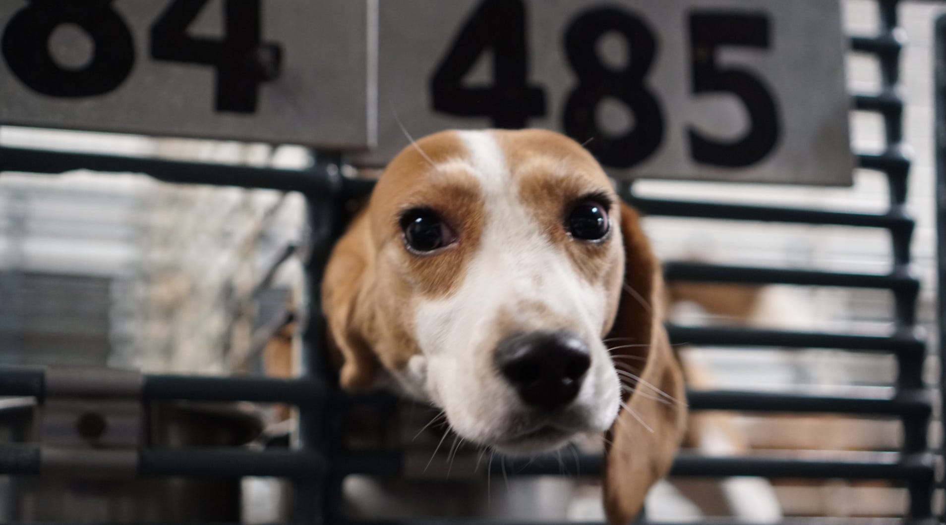 Why Do We Torture The Ones Who Love Us Most?