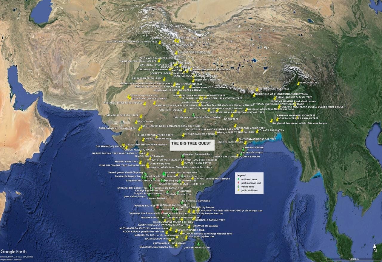 Critical Trials Ep 20 - by Akriti and Uday Krishna