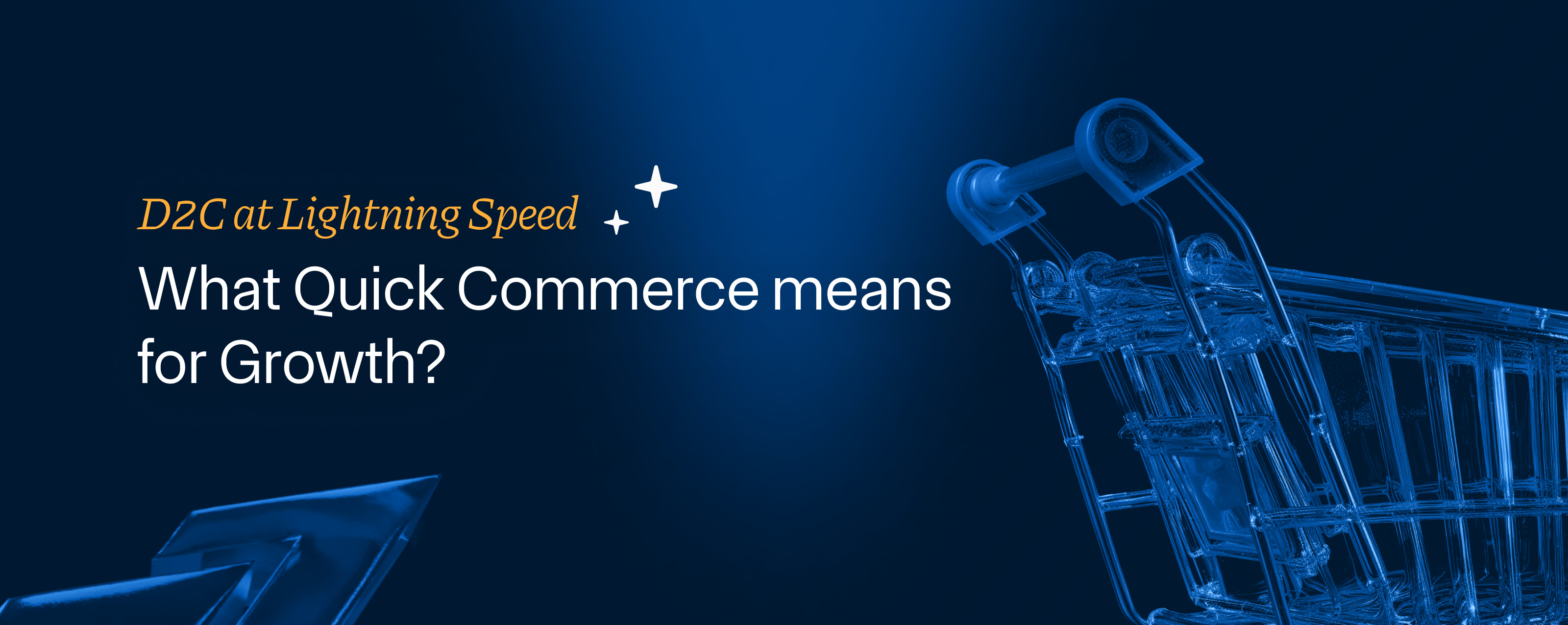 D2C at Lightning Speed: What Quick Commerce Means for Growth?