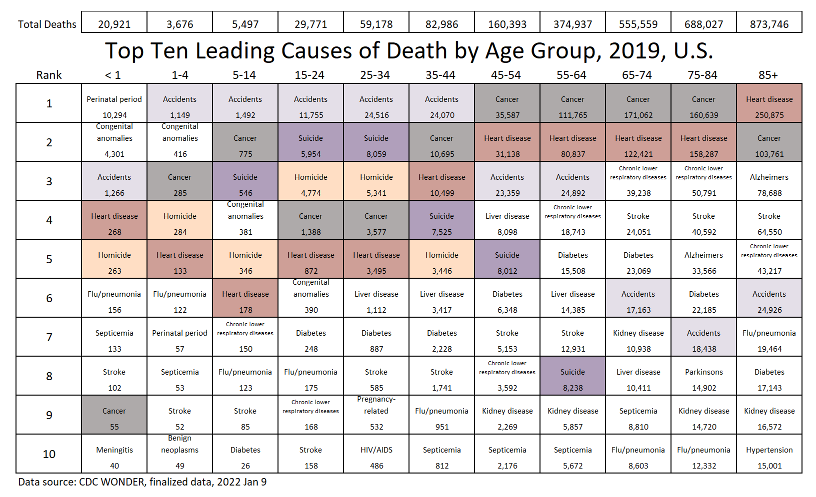 Top Cause of Death by Age Group, 2019-2022, Count Tables