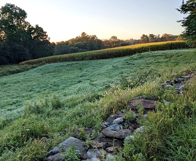As Summer Fades - Frederick Fullerton's Meanderings