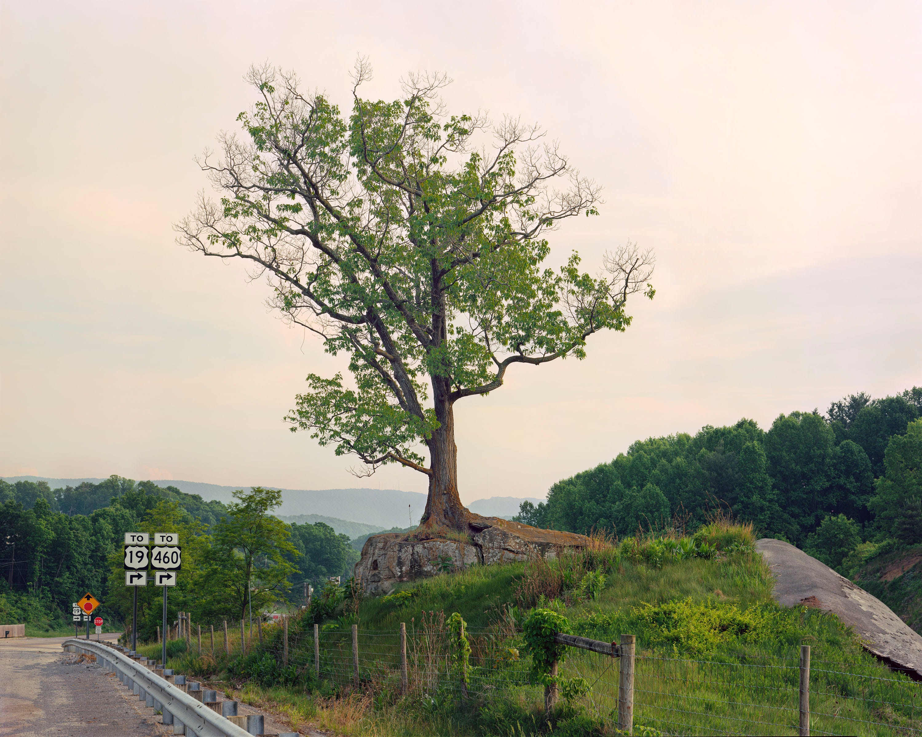 The Weekly Photograph #15 - John Sanderson Substack