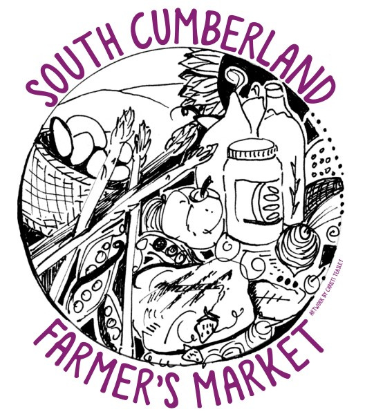 Rooted Here | Substack