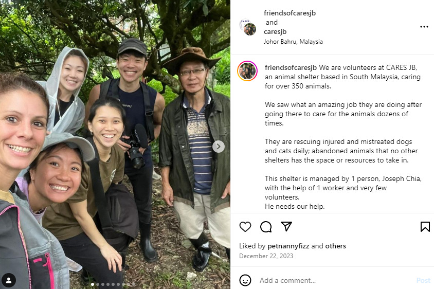 The Weird and Wild | Substack