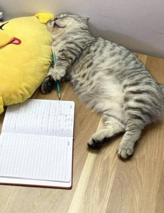 Deploy na Sexta #19: Concursos públicos valem a pena?