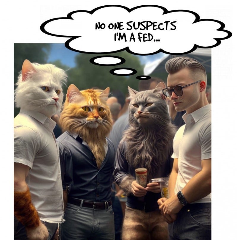 sunday memelord pool - by el gato malo - bad cattitude