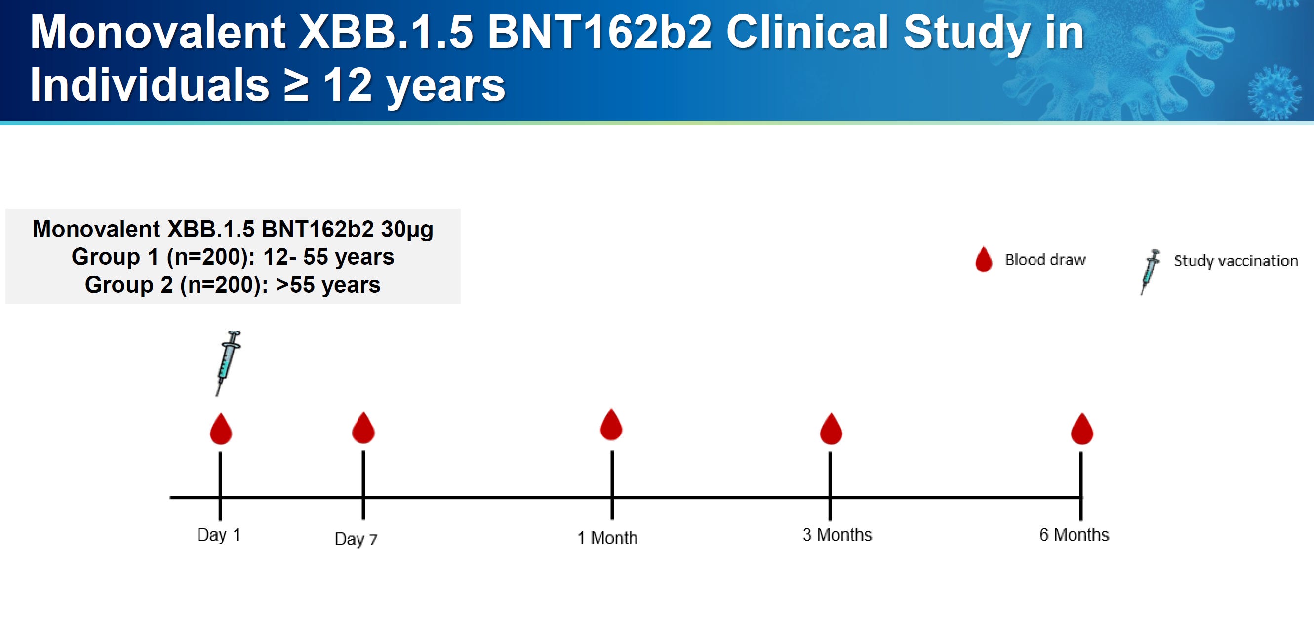 BREAKING--Pfizer XBB.1.5 Monovalent Vaccine Tested in 20 Mice, No ...