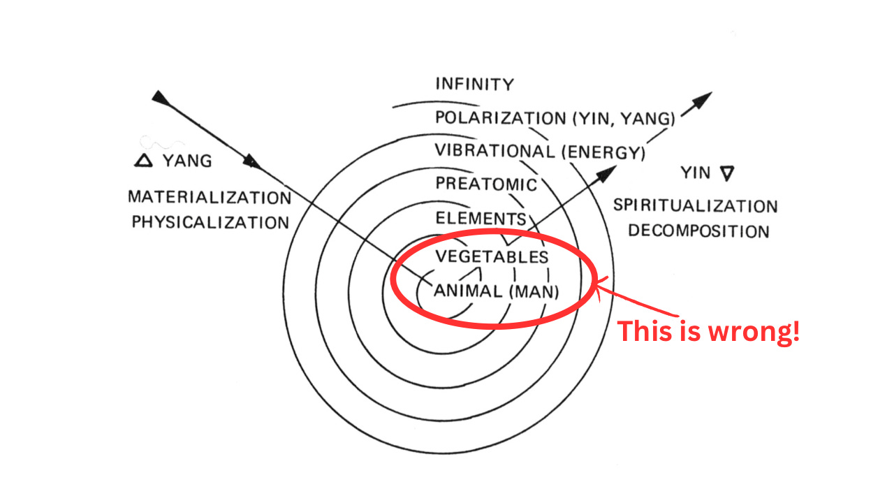 Correcting Ohsawa’s And Michio’s Teachings - Part 1: The Spiral Of ...
