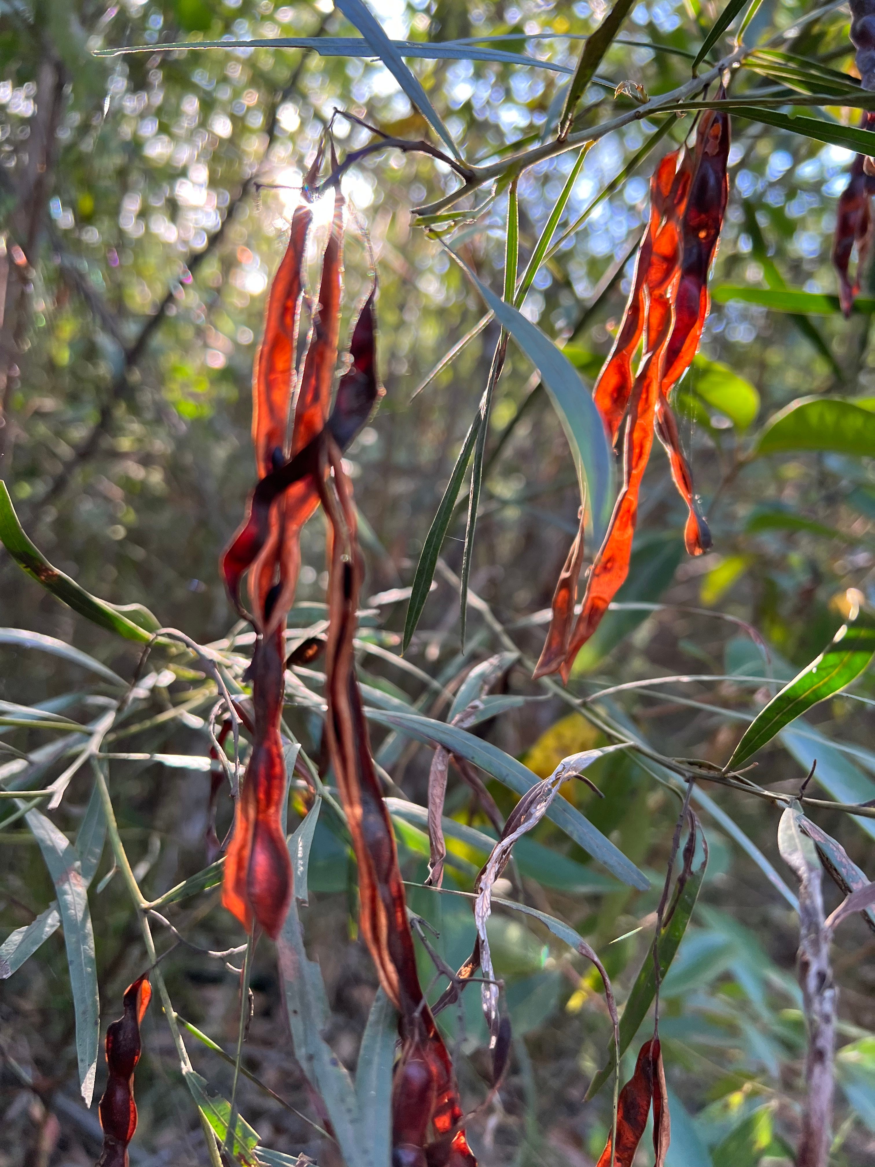 This is my Angle of Arrival - by Renee Mickelburgh