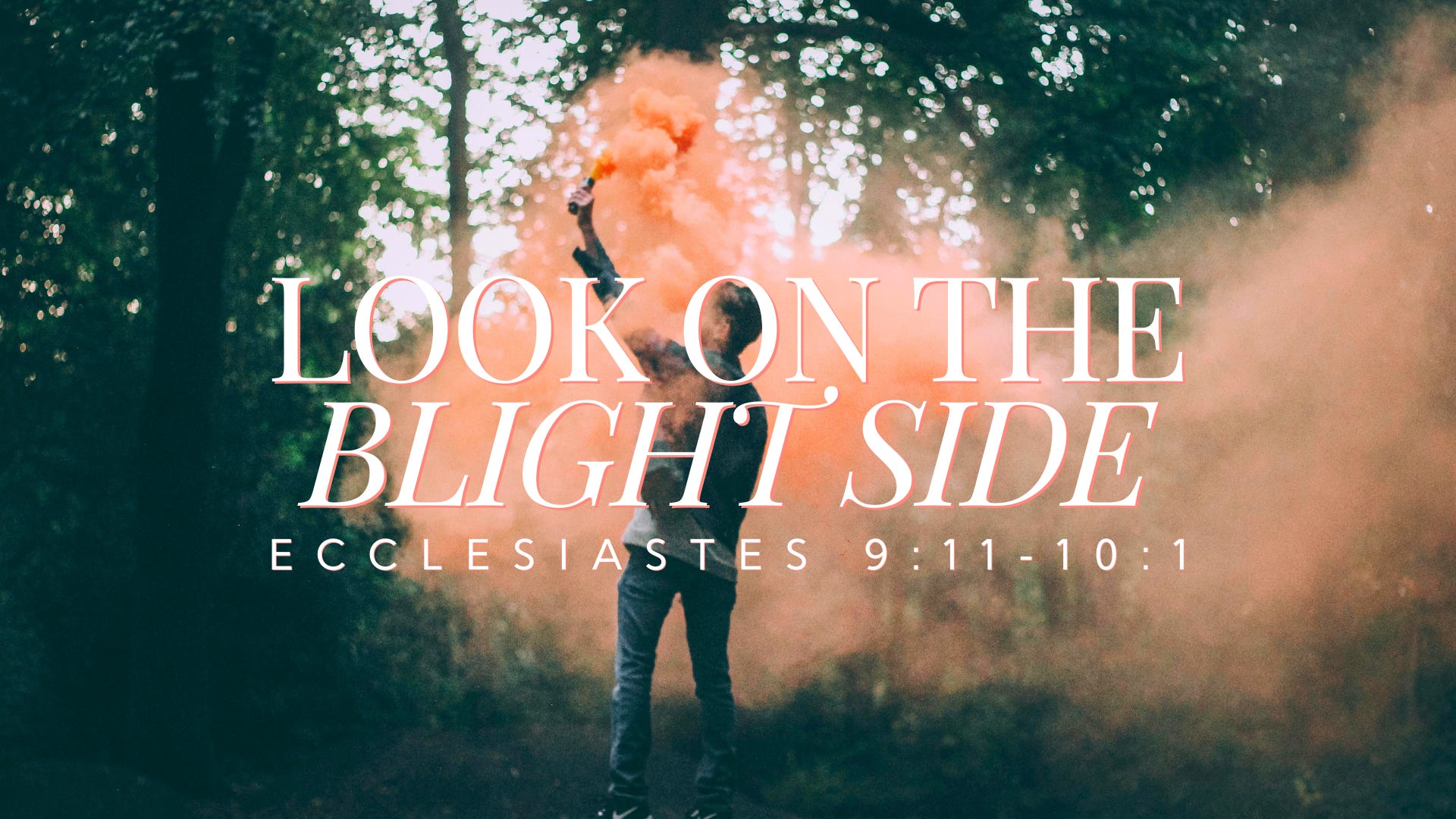Look On The Blight Side (Ecclesiastes 9:11-10:1)