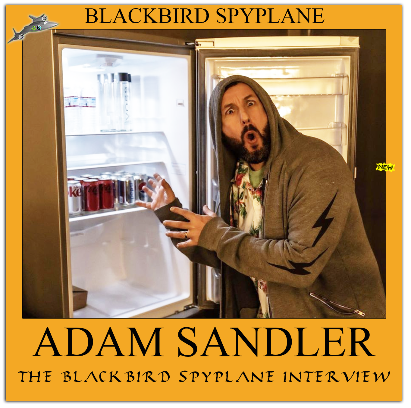 Adam Sandler: The Blackbird Spyplane Interview