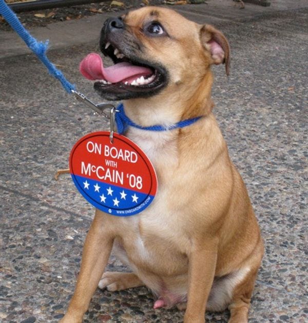 McCain Dog Is On Board With Walnuts - by Sara K. Smith