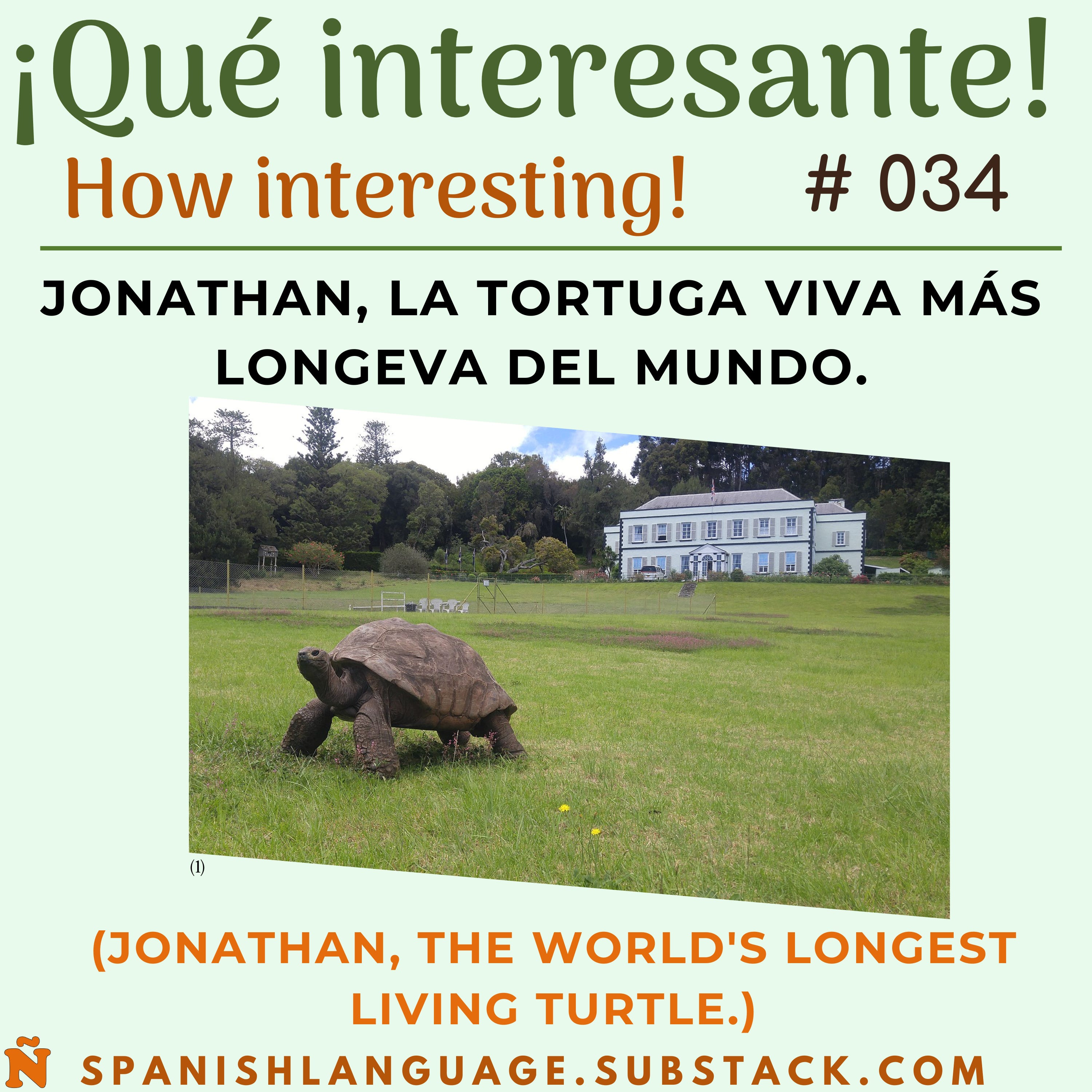 ¡Qué interesante! (How interesting!) #034