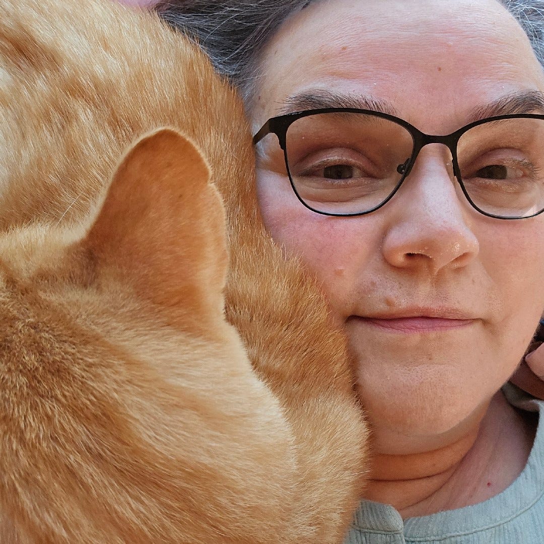 Maureen O'Connor | Substack