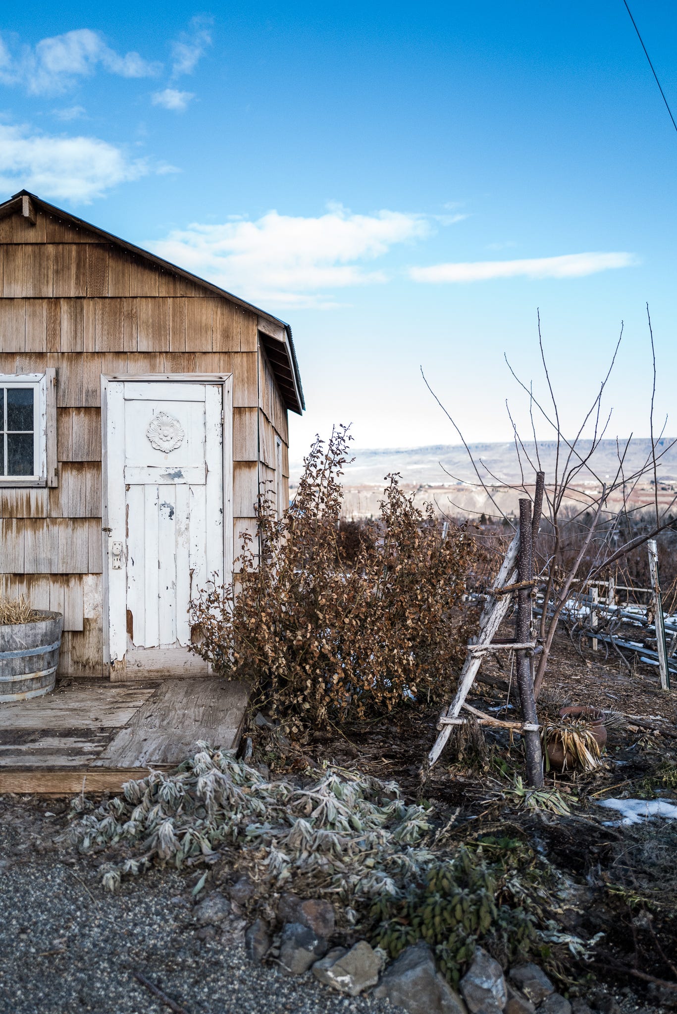 The Elliott Homestead Newsletter | Shaye Elliott | Substack