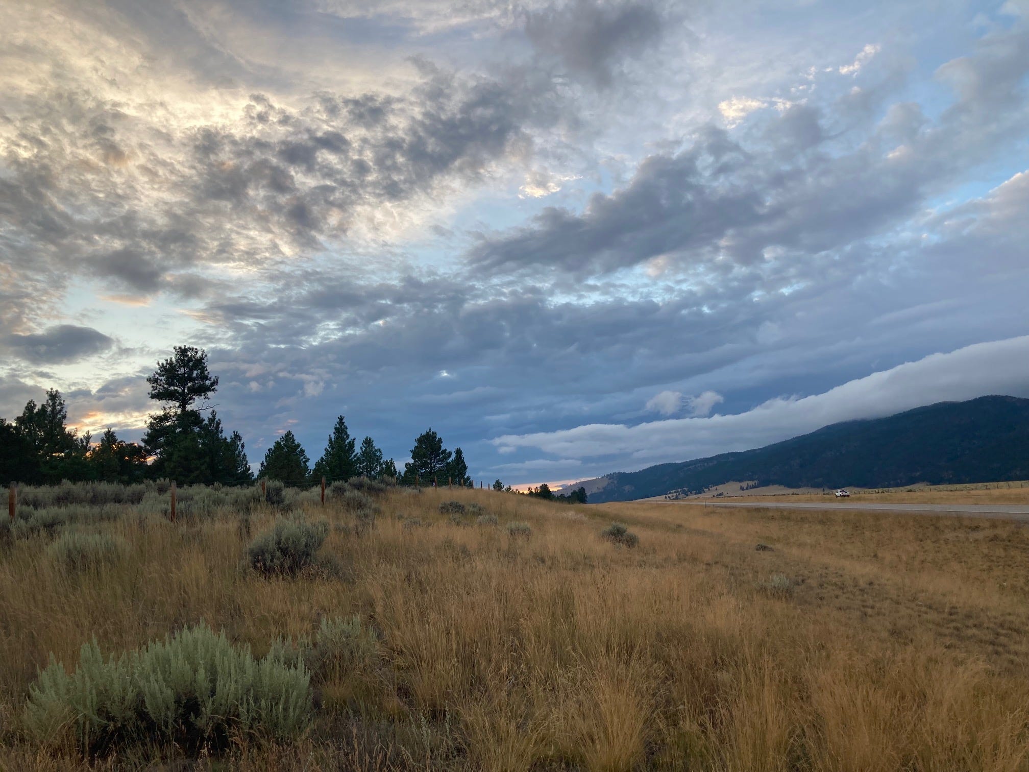 Travelogue: Montana - by Carson Ellis - Slowpoke