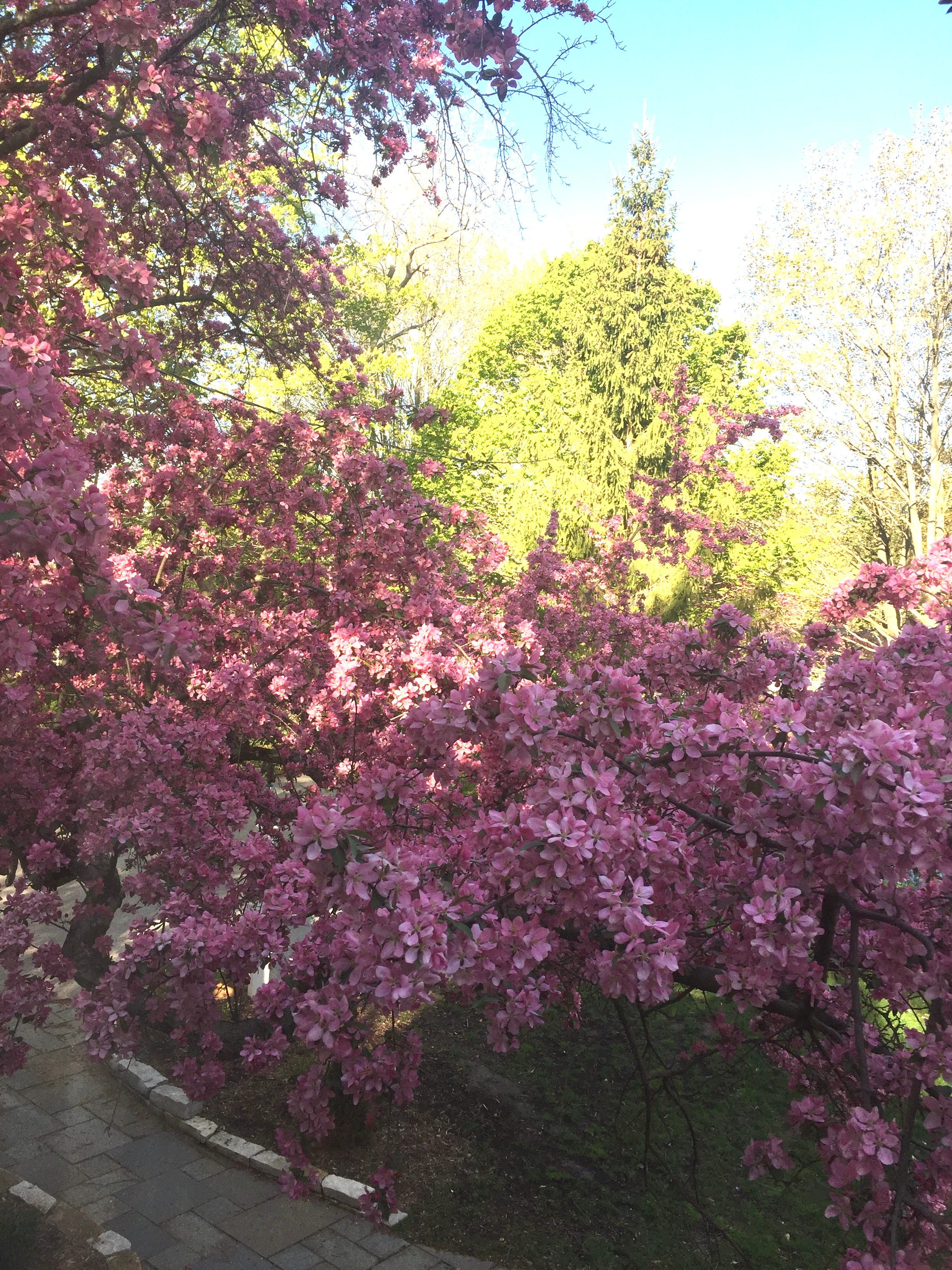 One Day in Spring - by J. F. Riordan