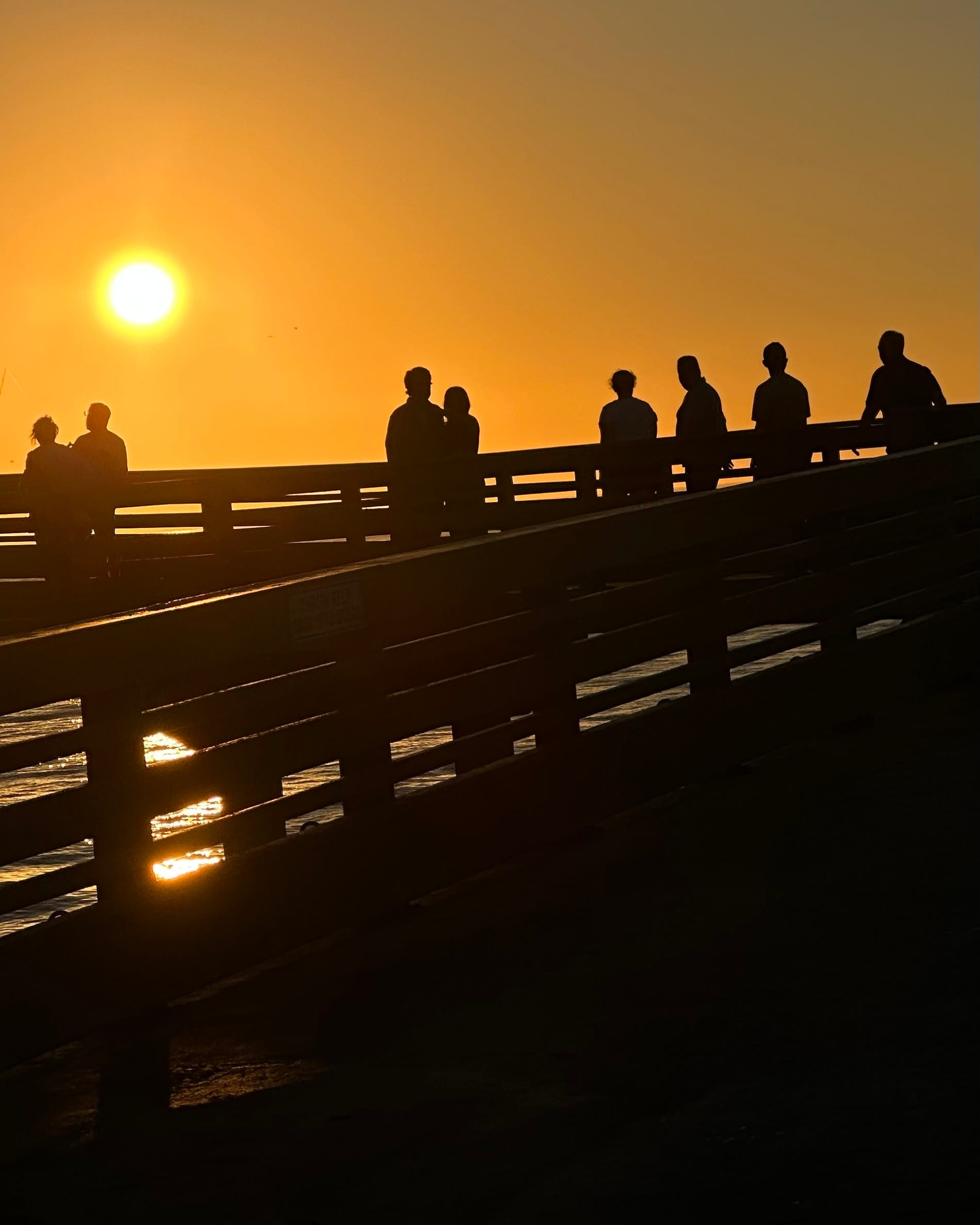 #89: Sunset crowd - by Stefania Culafic - Observations