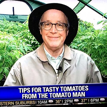 Chicago Tomato Man | Substack