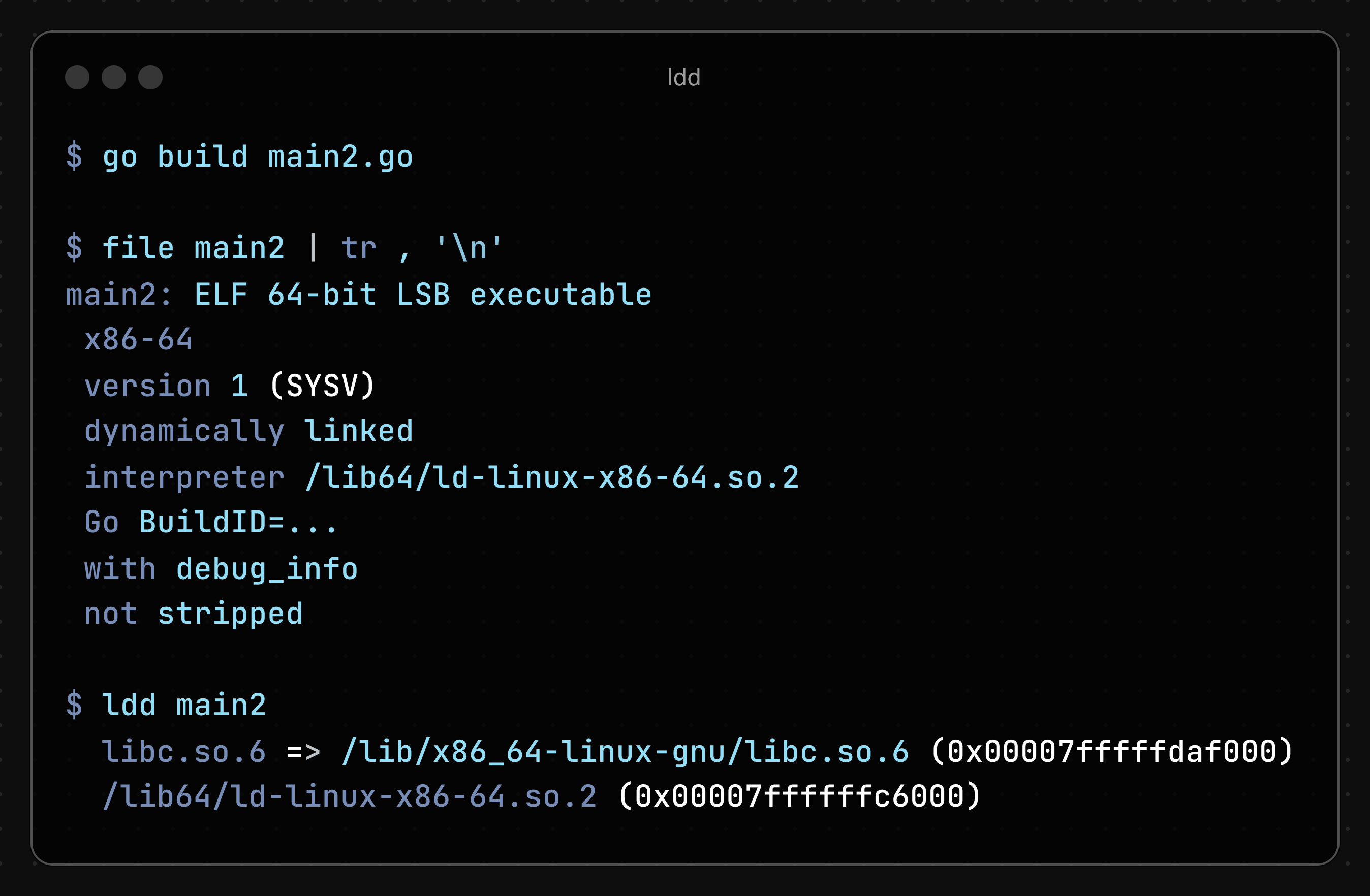 Statically and Dynamically Linked Go Binaries