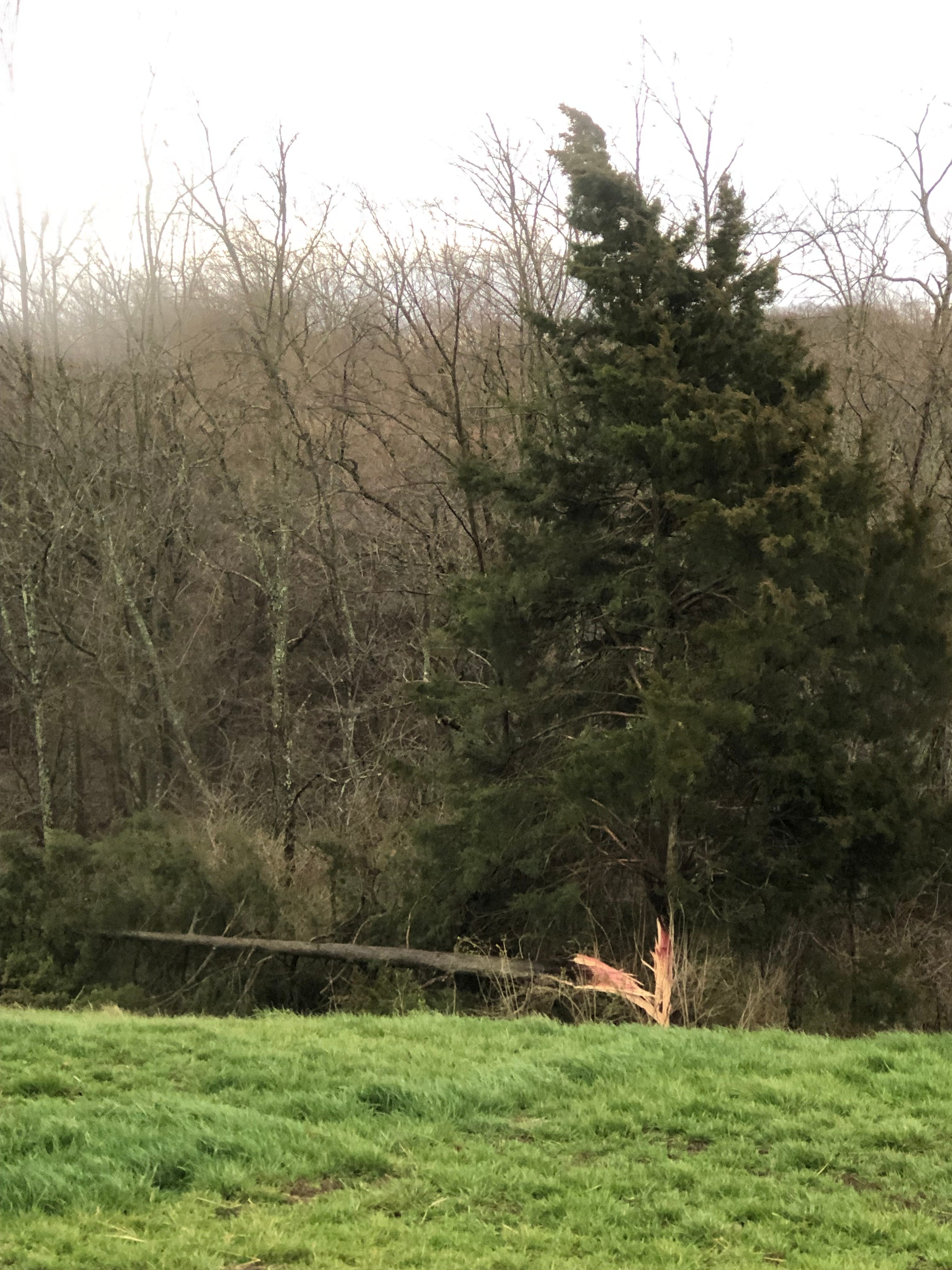 The Cunning Farmer - The Cunning Farmer