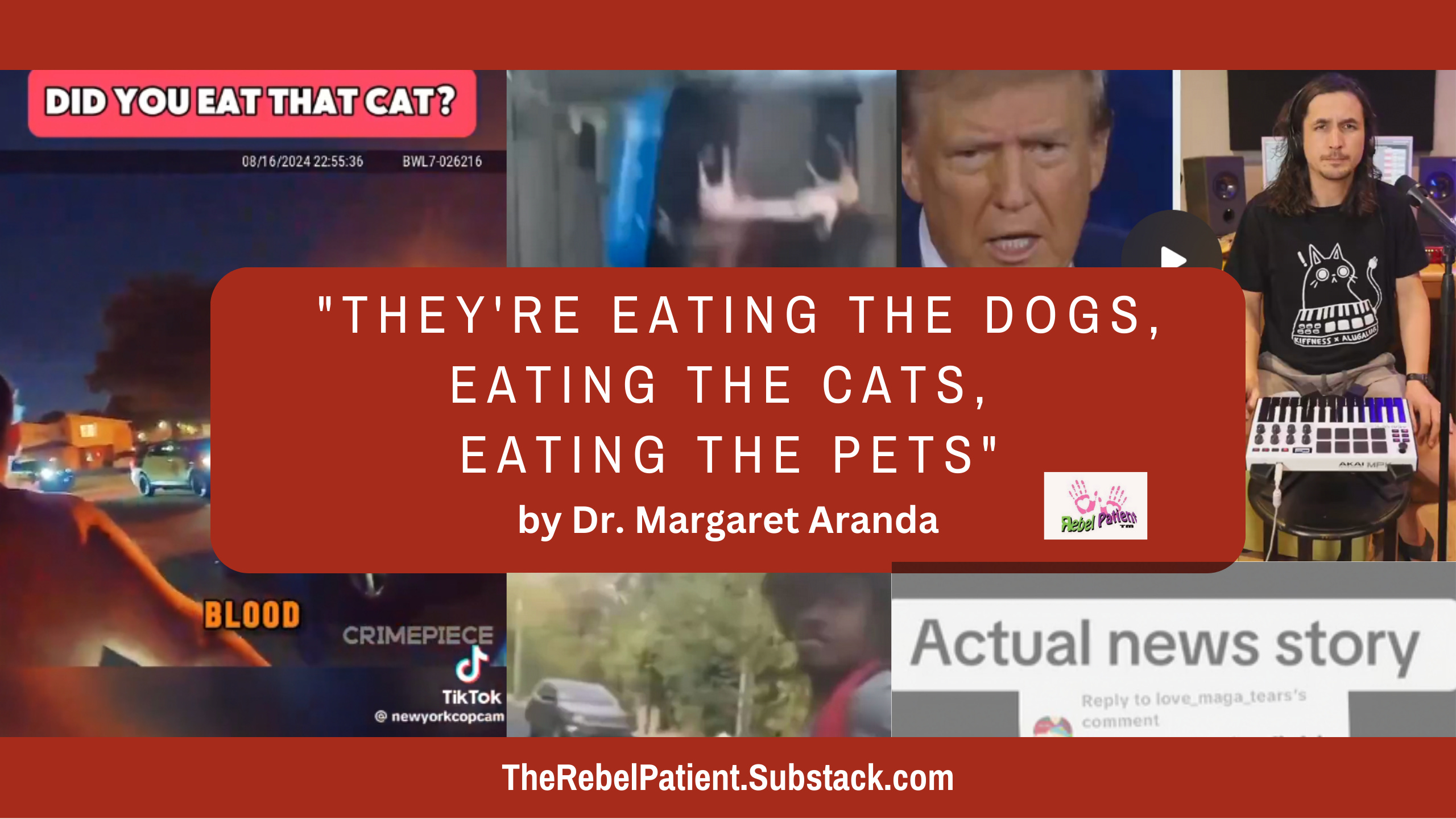 They're Eating the Dogs, Eating the Cats, Eating the Pets