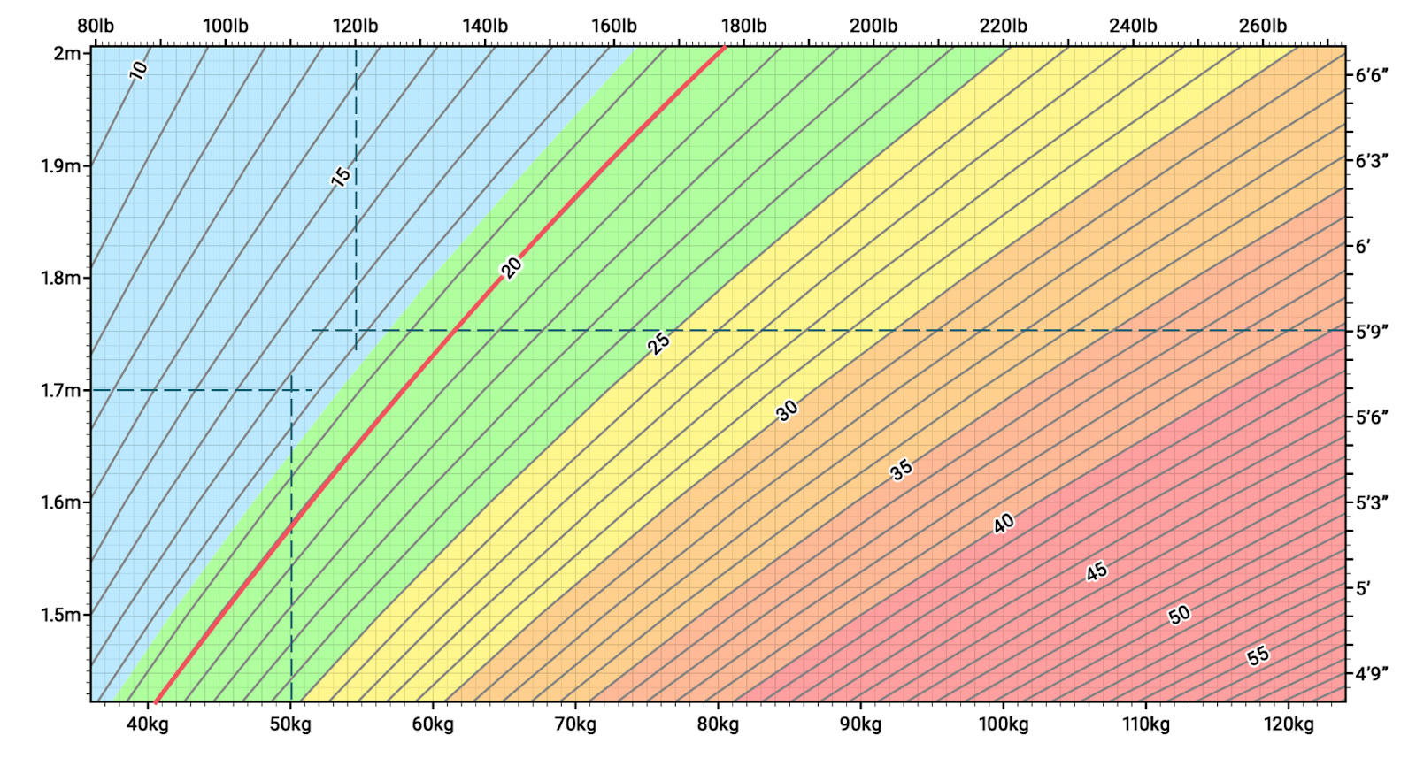 The Shape of Us - by Tomas Pueyo - Uncharted Territories