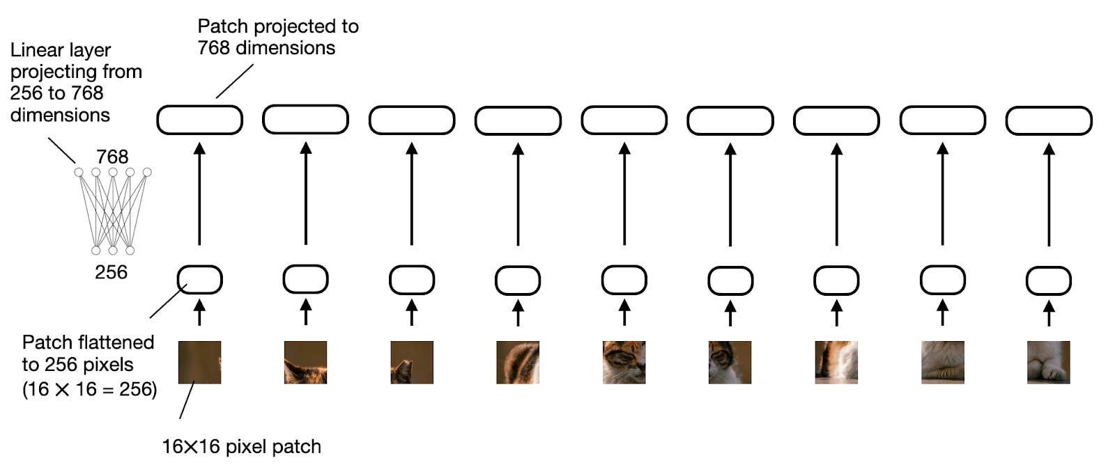 Understanding Multimodal LLMs - by Sebastian Raschka, PhD
