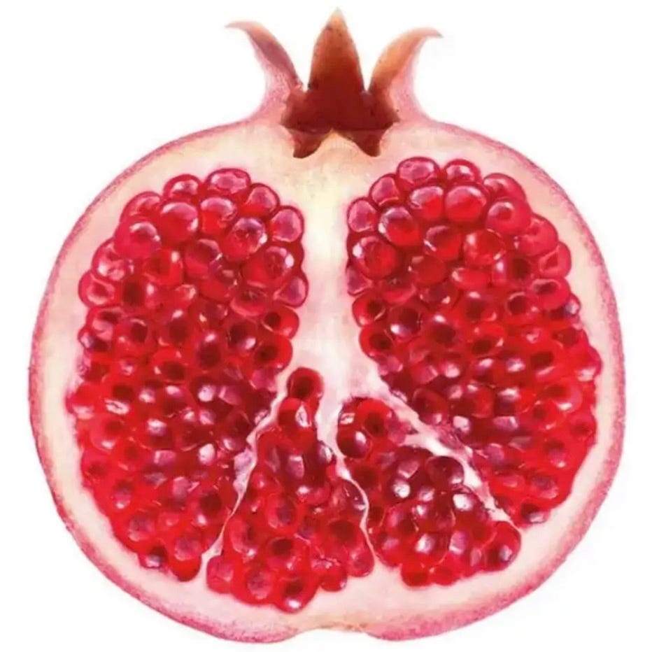 a fool’s abditory | Substack