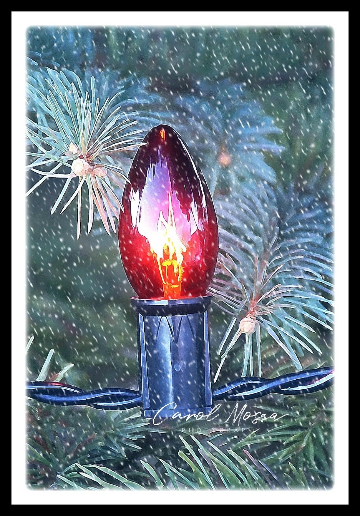 Amazon Santa - by Carol Mossa - The Footloose Muse