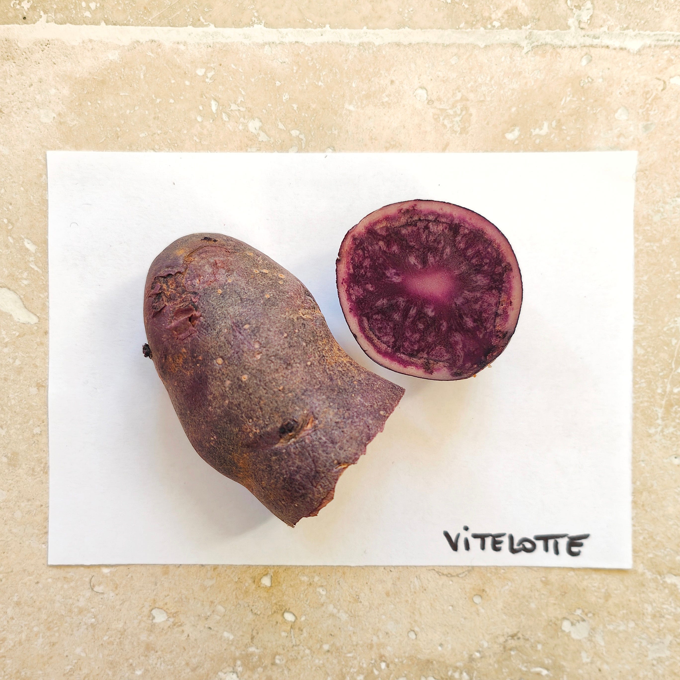 PATATE - Simon Auscher - Cuisine Playground