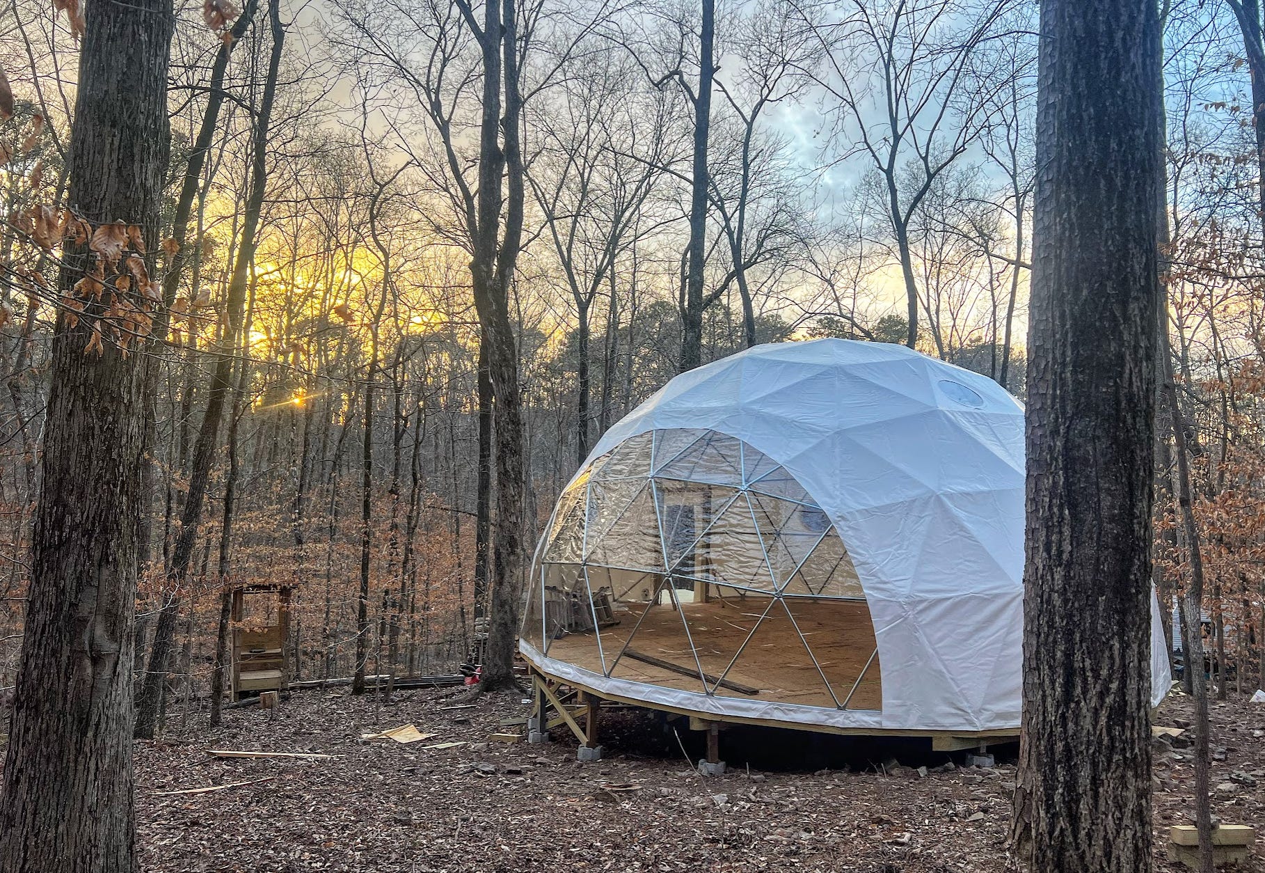 I'm Building a Domestead - by Tanya Twerdowsky