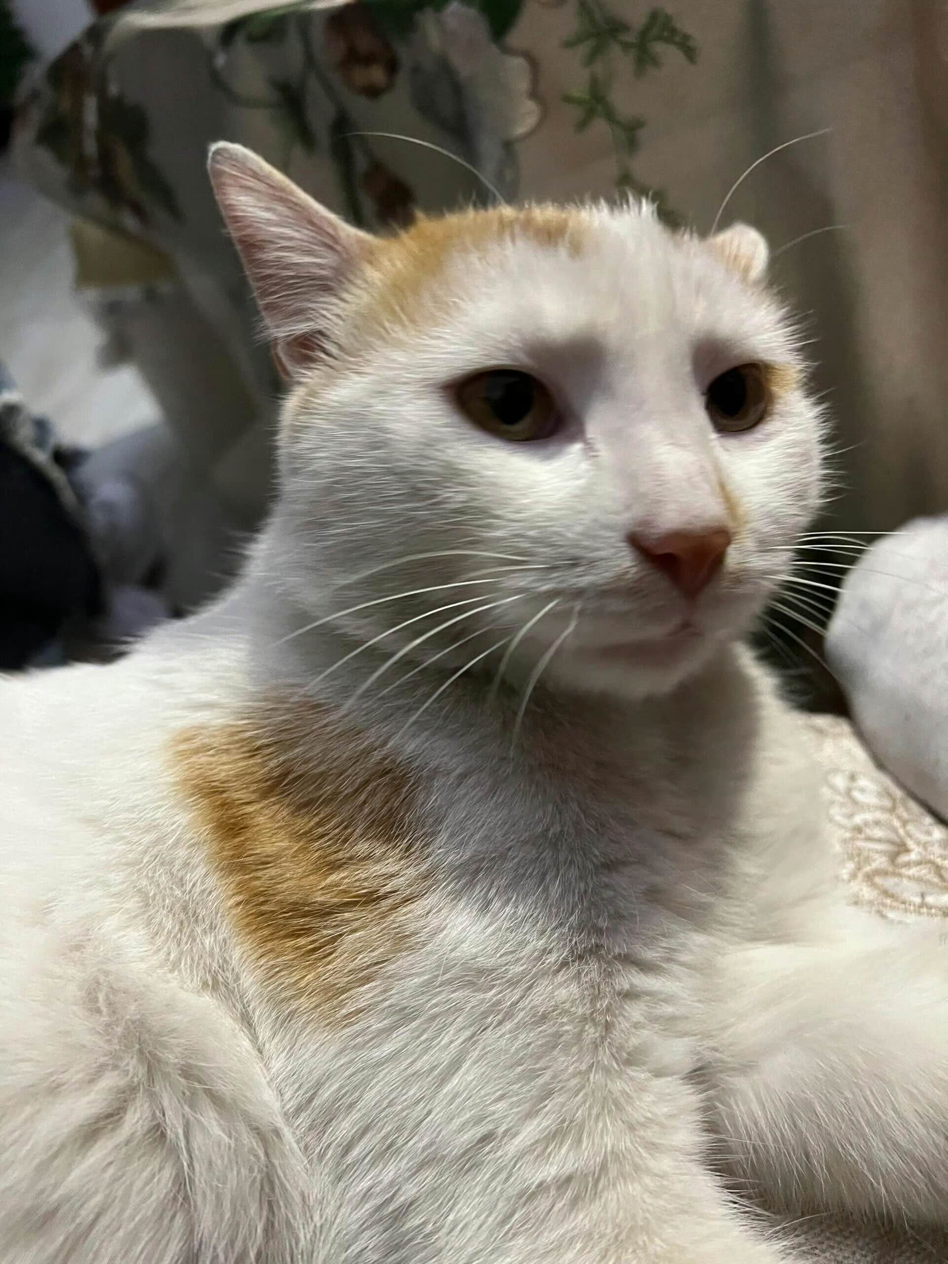 06/15/24 - - by Chinese Doom Scroll - Moly’s Substack