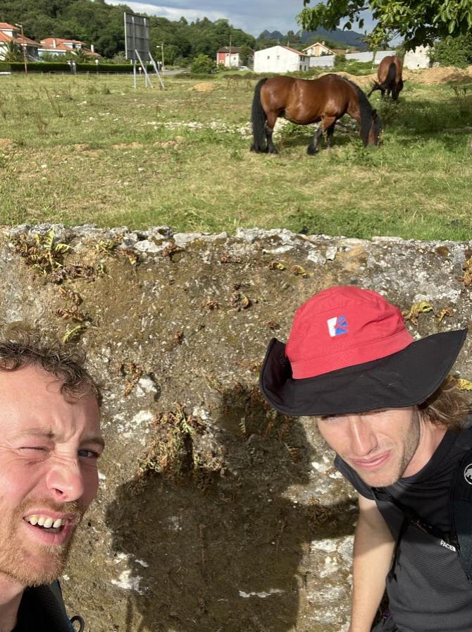 Digging, Michael Hurley, soba noodles - by Flo Dill