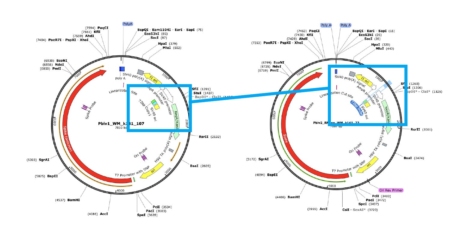 5 ways to skin a (genetically modified) cat