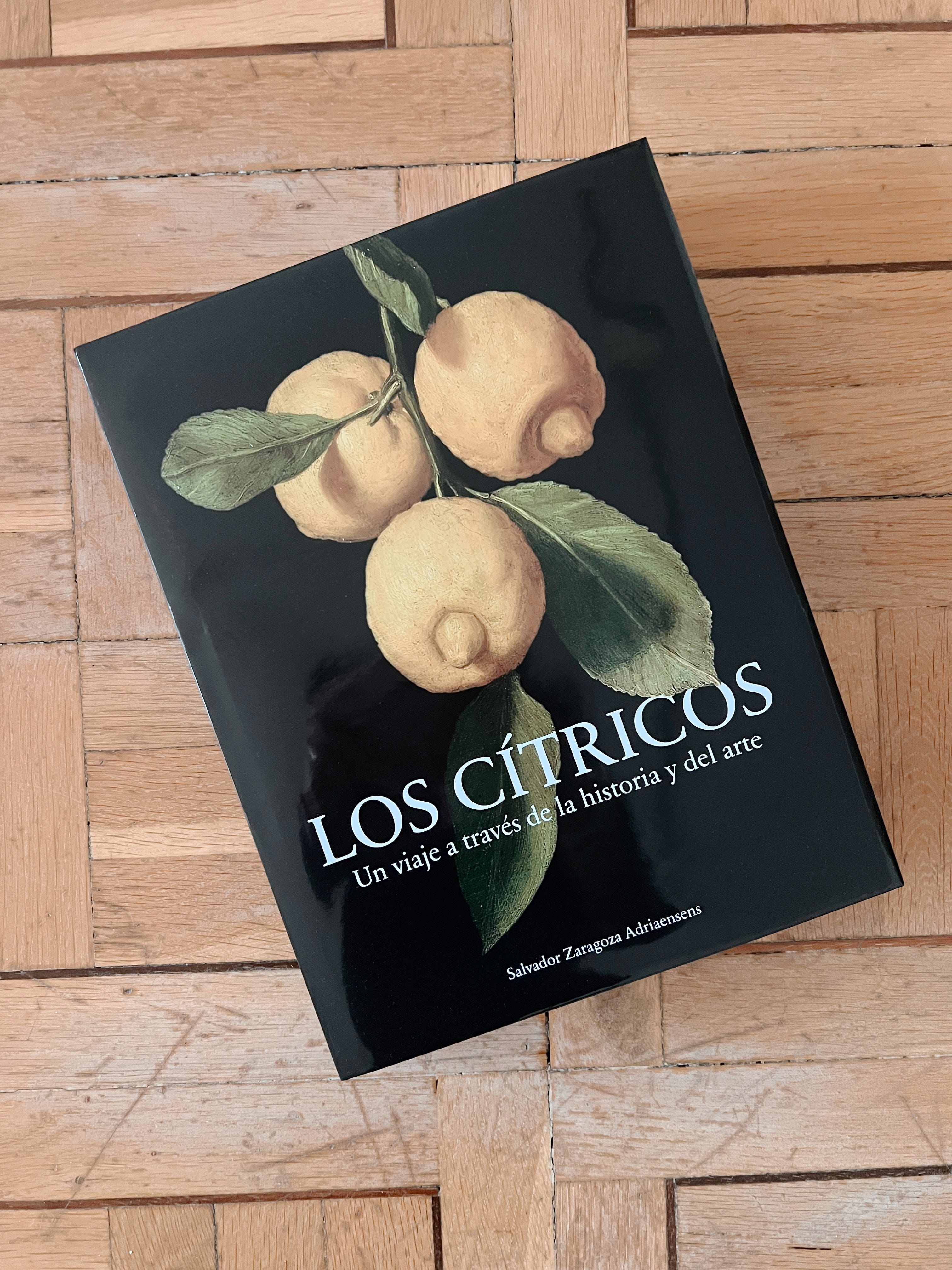 Mis últimas compras de libros - El Substack de Mer ZUBI