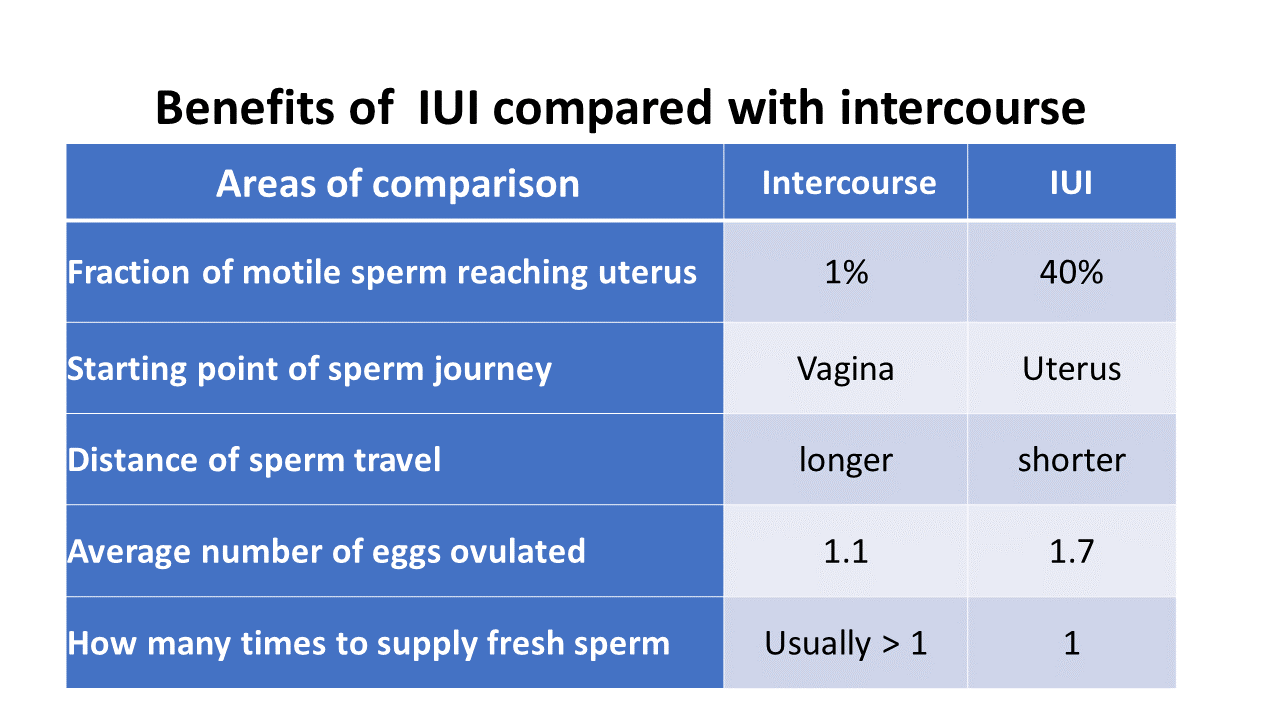 How does intrauterine insemination (IUI) enhance the chance of pregnancy?
