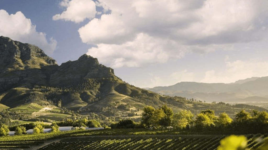The World’s Longest Wine Route: - South Africa's Route 62: