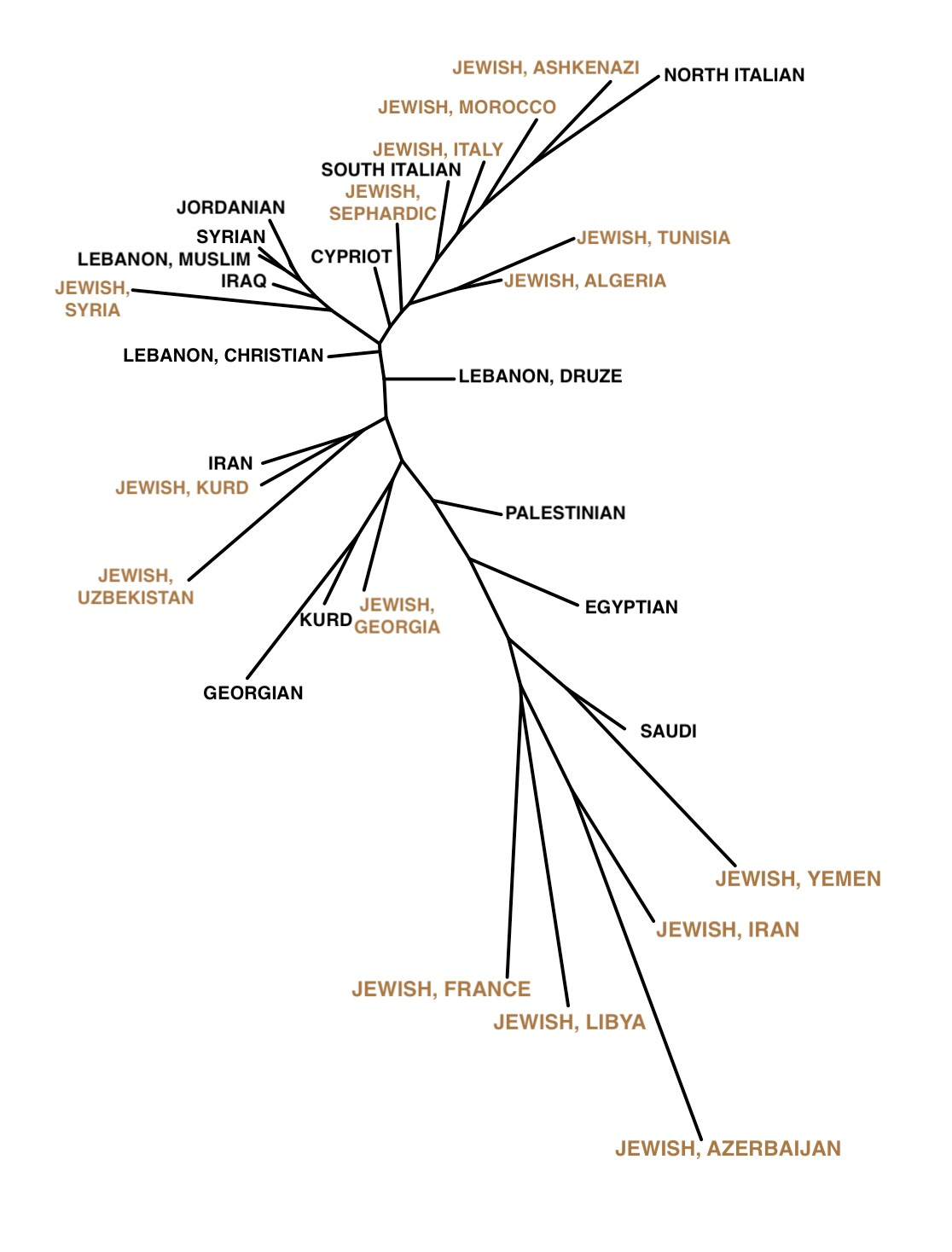 More than kin, less than kind: Jews and Palestinians as Canaanite cousins