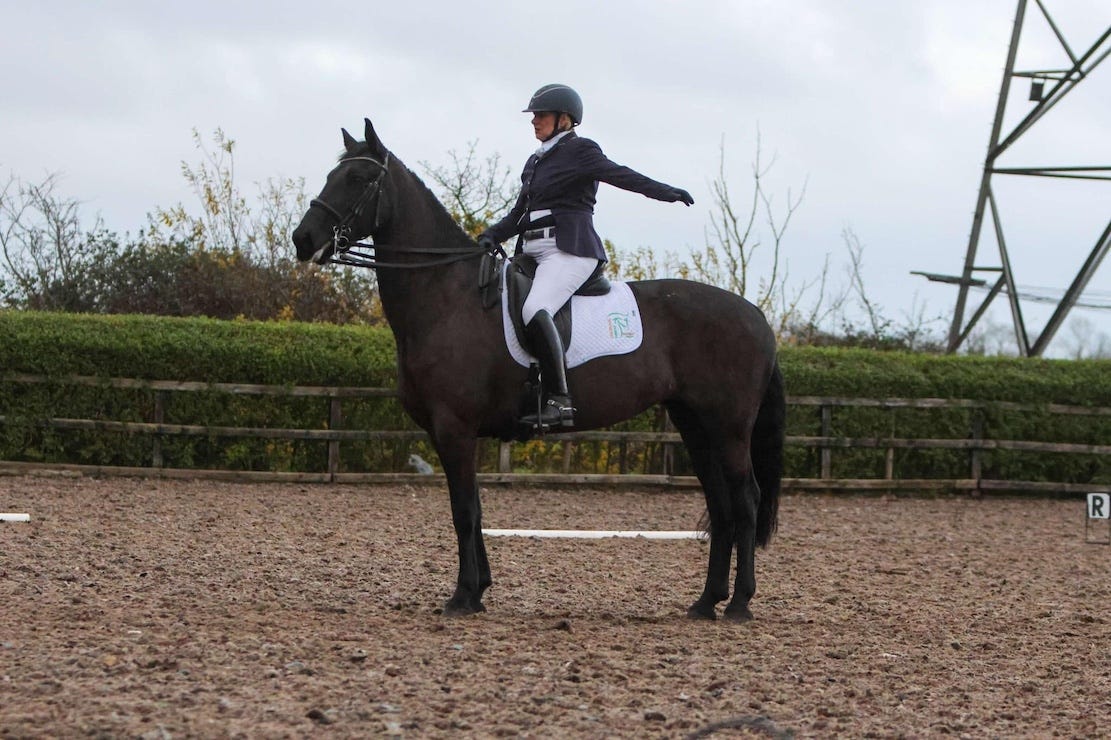 Dressage day draws diva spirit to Knockagh View