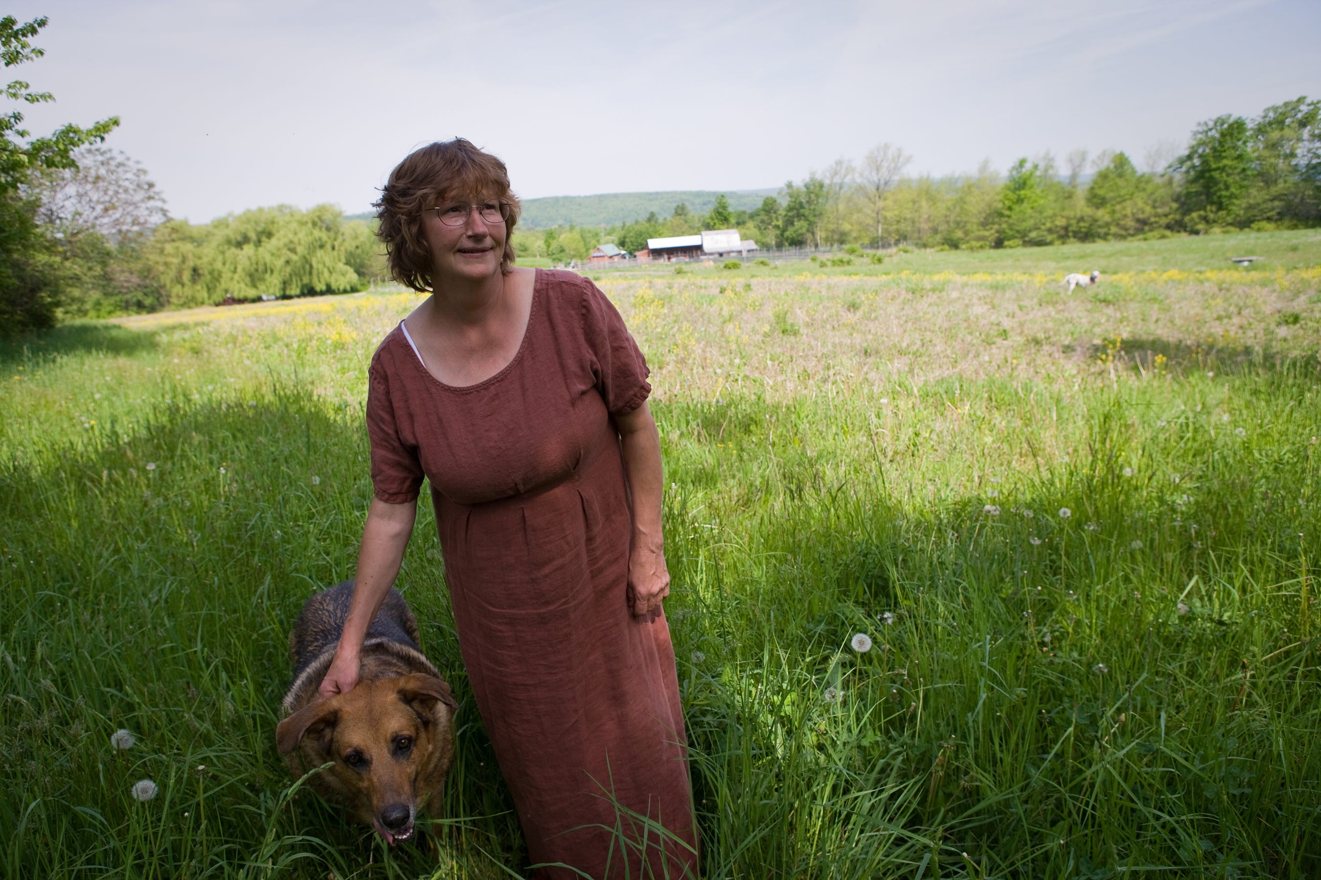 What's this homestead stuff about - by Jill Swenson