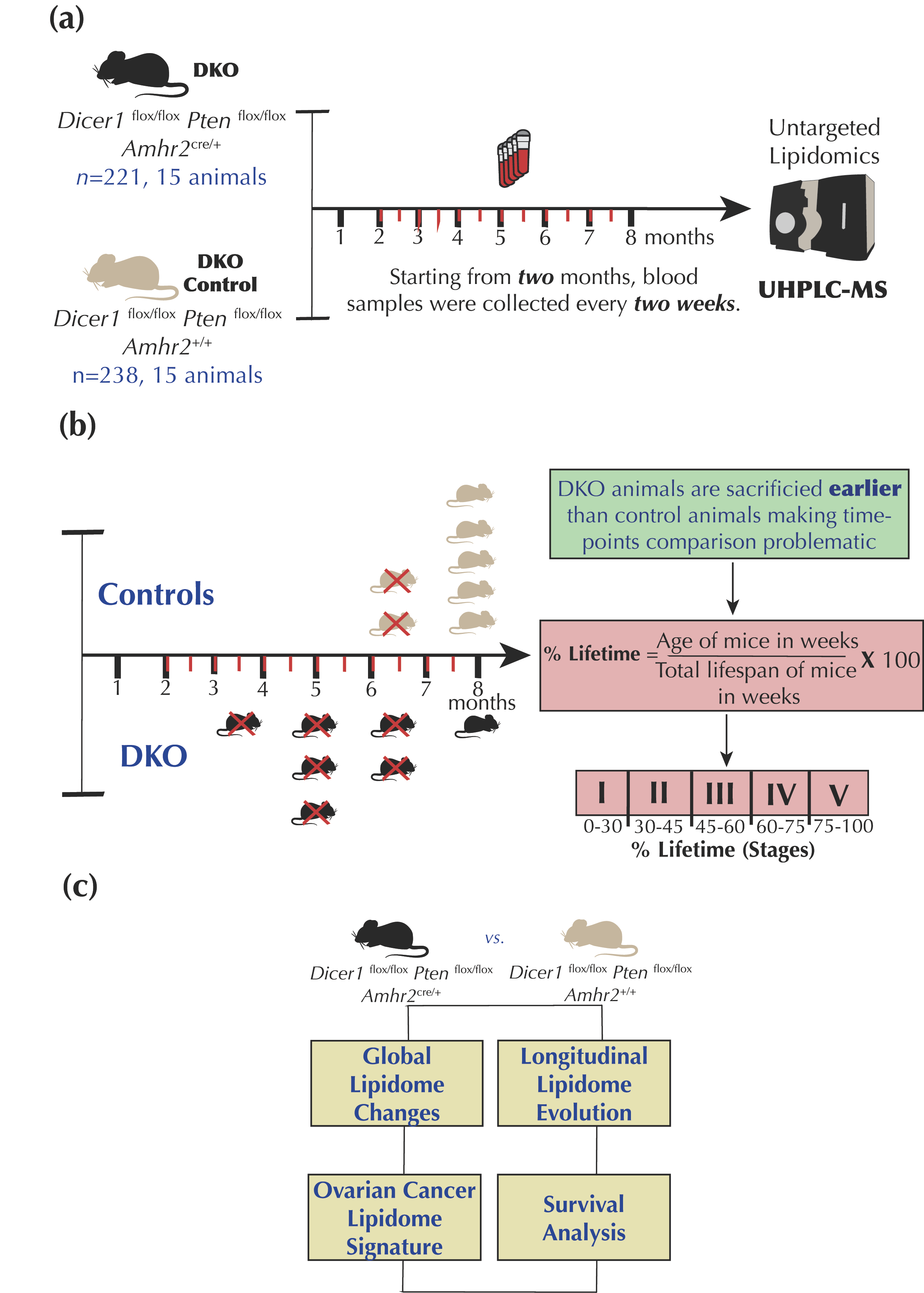 Machine Learning Reveals Ovarian Cancer Progression